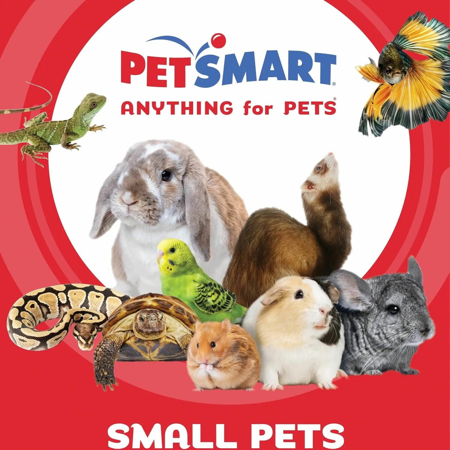 PetSmart Weekly Flyer - Small Pets, Big Care - Mar 30 – Apr 12 ...