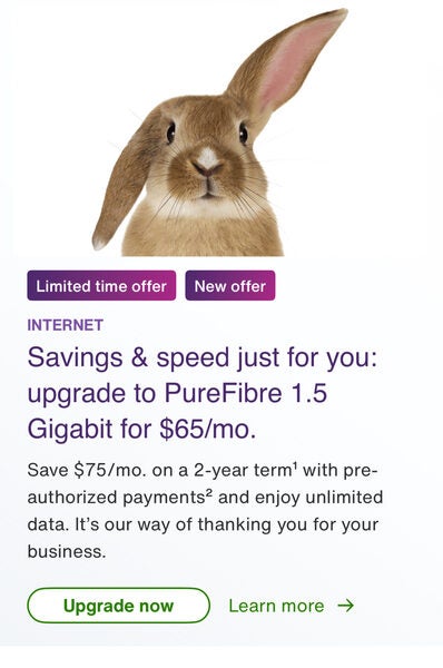 [Telus] PureFibre 1.5 Gigabit for $65 or 3 Gigabit for $70 YMMV ...